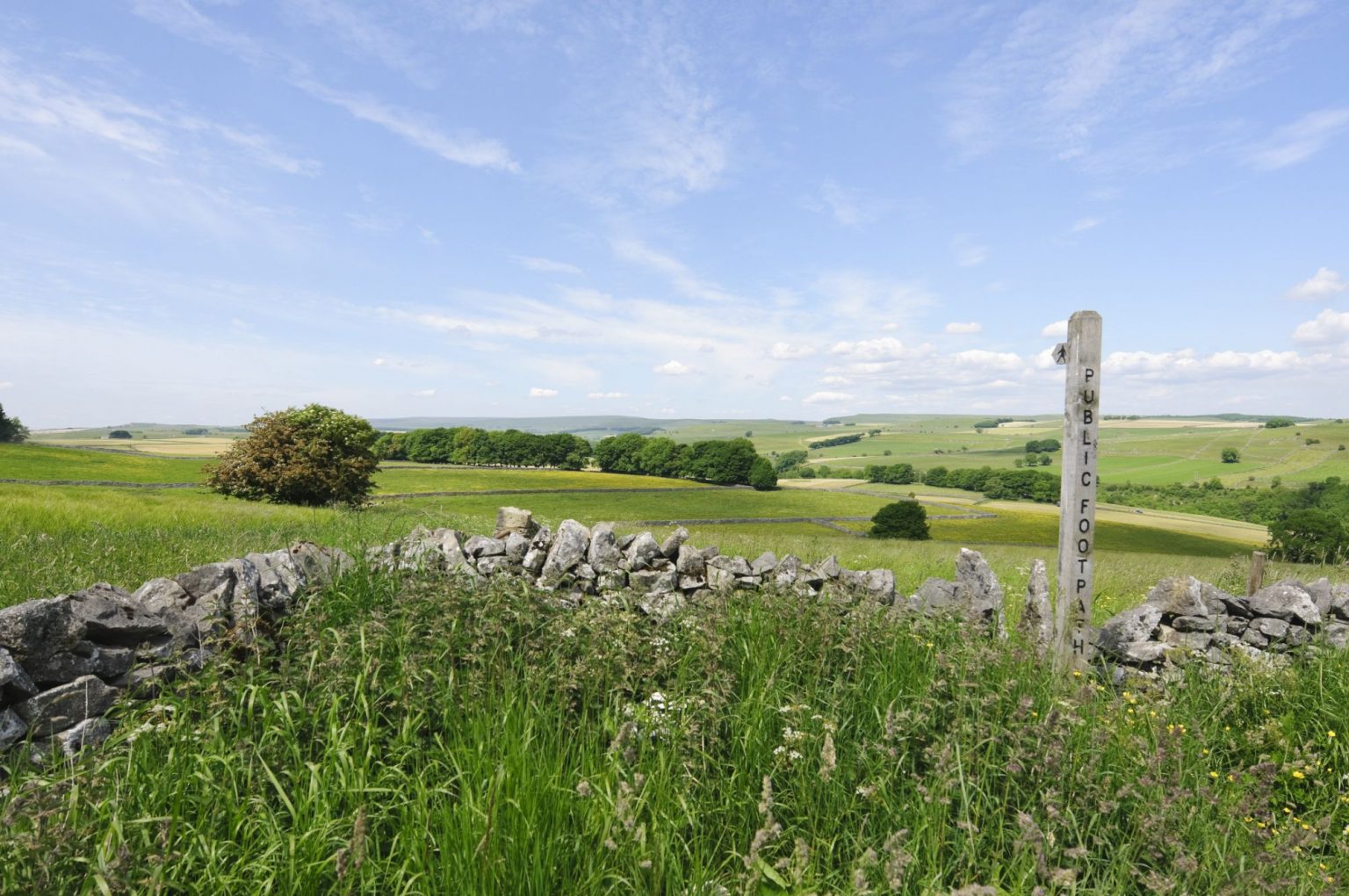 The Cottage - Little Bank
